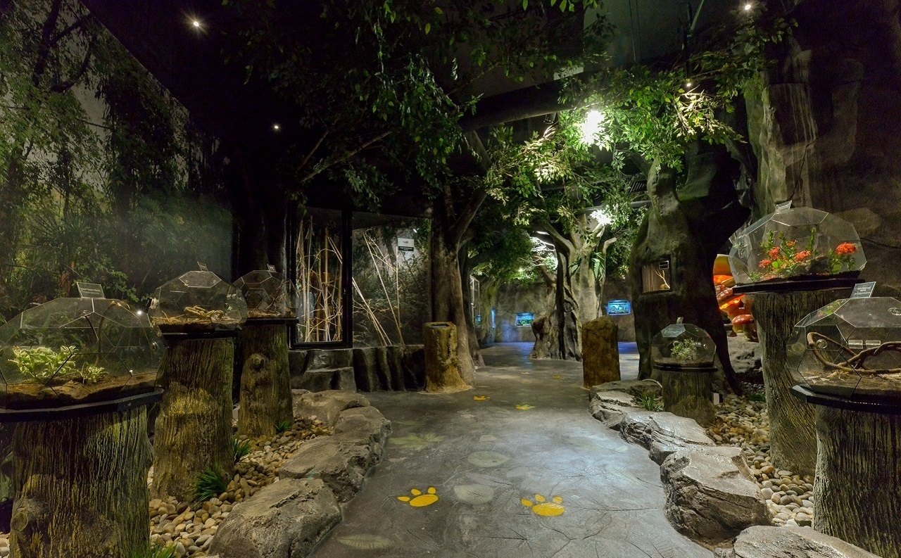 Entopia by Penang Butterfly Farm – Hot Spot Travel Sdn Bhd ...