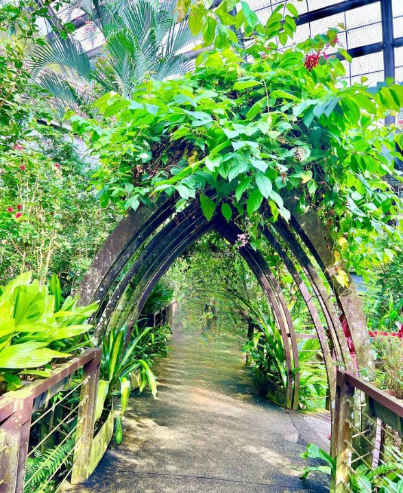 Entopia by Penang Butterfly Farm – Hot Spot Travel Sdn Bhd ...